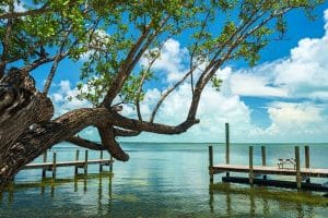 10 Awesome Florida Keys State Parks You Must Visit | Florida Keys Camping