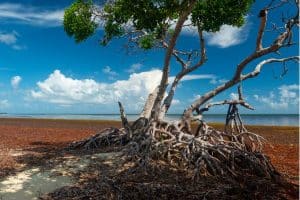 10 Best Florida Keys State Parks | Florida Keys Camping
