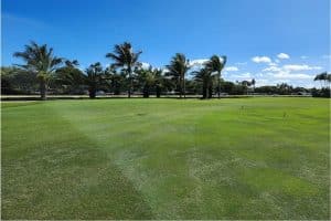 Top 5 Florida Keys Golf Courses | Florida Keys Camping