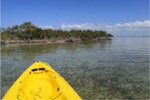 Kayaking In Key Largo: A Fun Way To Explore The Waters | Florida Keys ...