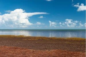 The Long Key State Park Experience | Florida Keys Camping