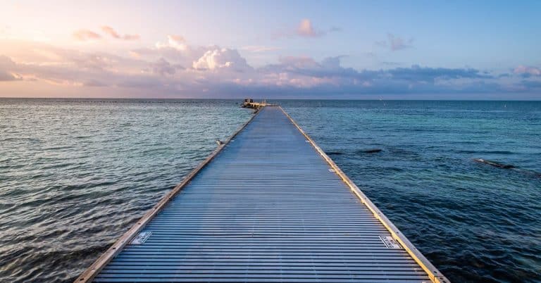 Mangroves In Key West: 2024 Guide | Florida Keys Camping