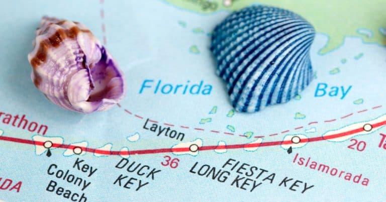 Shelling In The Florida Keys | Florida Keys Camping